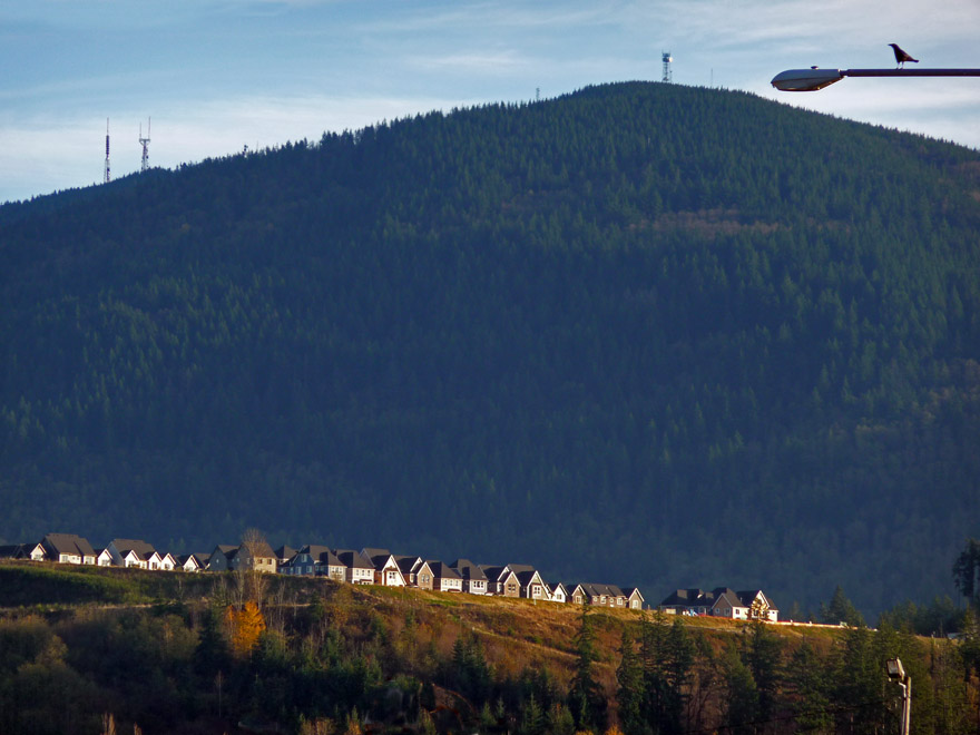 issaquah-plateau-crow-tiger-mt-11-23-8-blogb | Seattle Now & Then