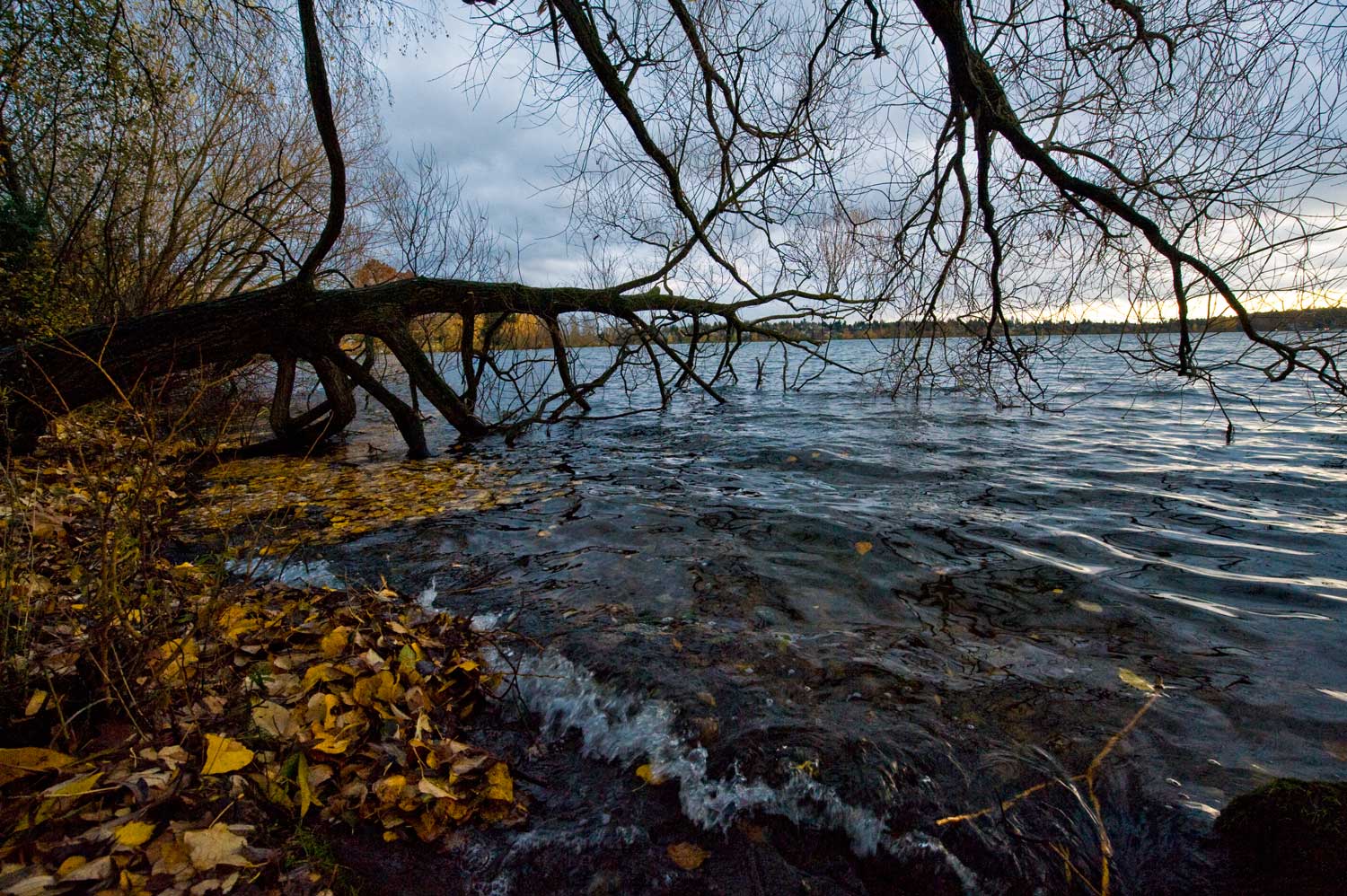 greenlake-fall2 | Seattle Now & Then