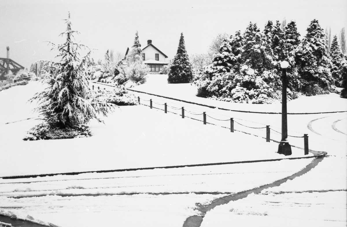 locks-gardens-snow-web | Seattle Now & Then