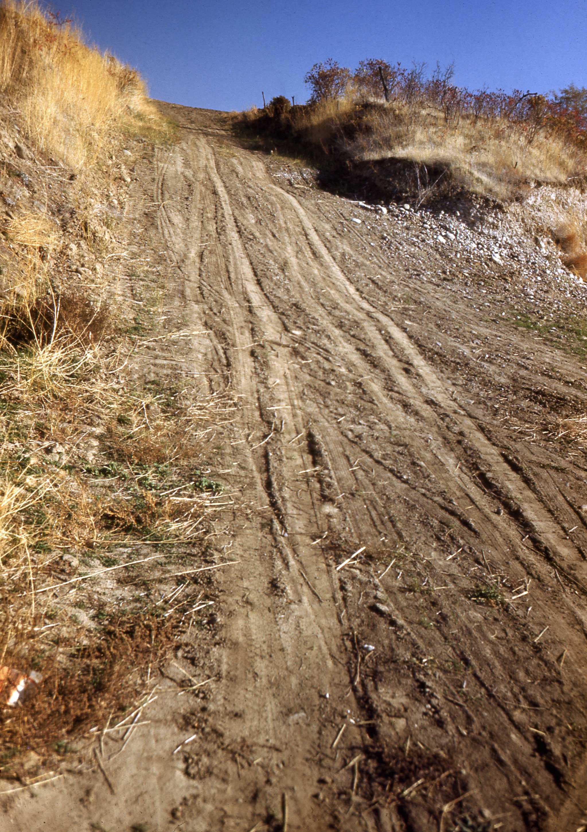 Divide-in-the-Road-WEB | Seattle Now & Then