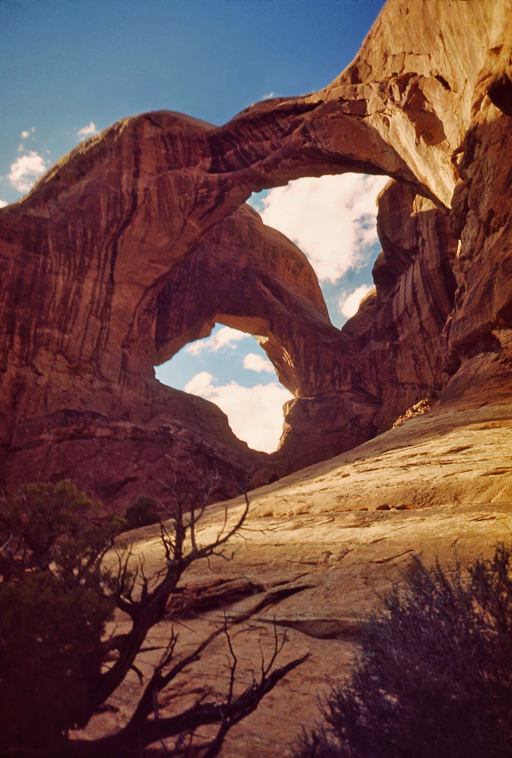 Our Daily Sykes #387 – Double Arch near Moab, Utah | Seattle Now & Then