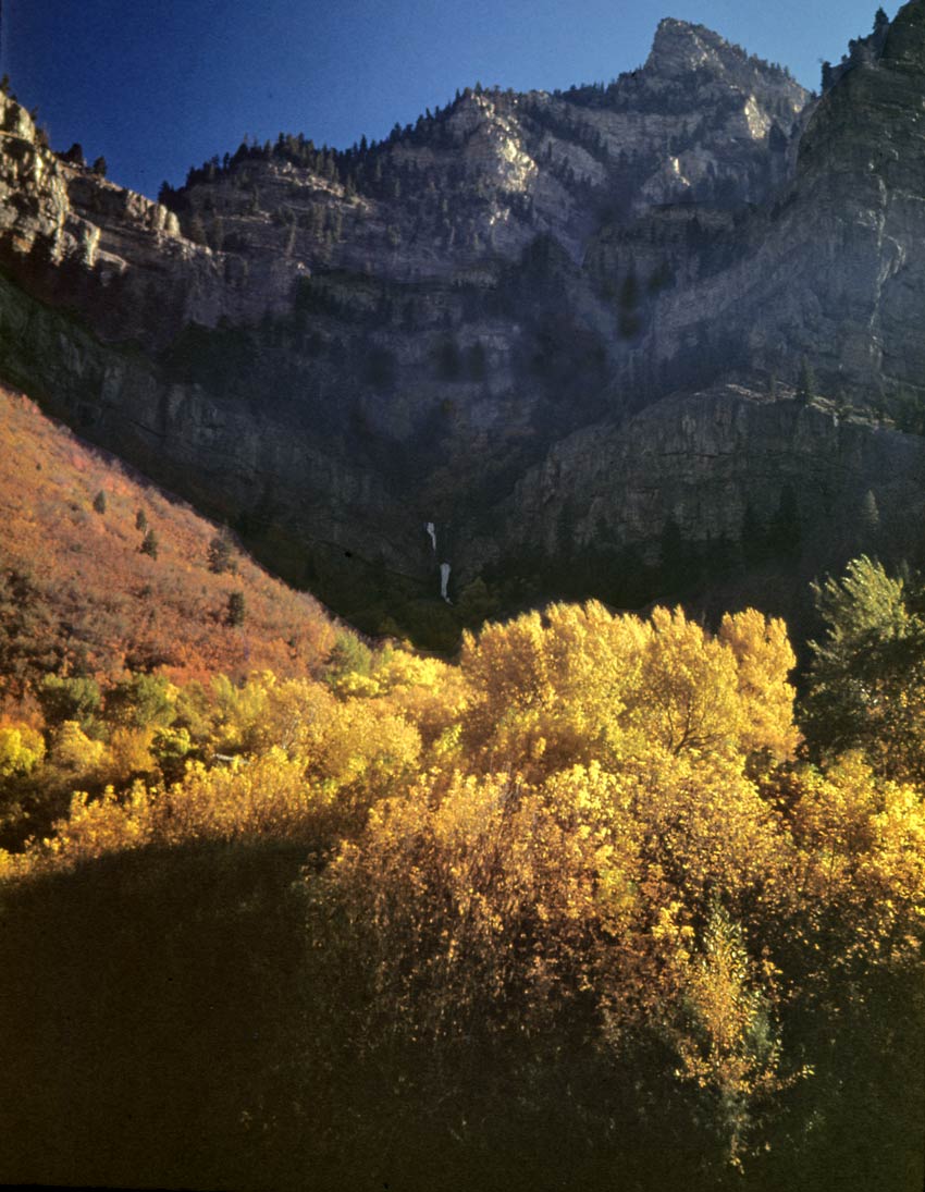 Our Daily Sykes #476 – Fall Falls | Seattle Now & Then