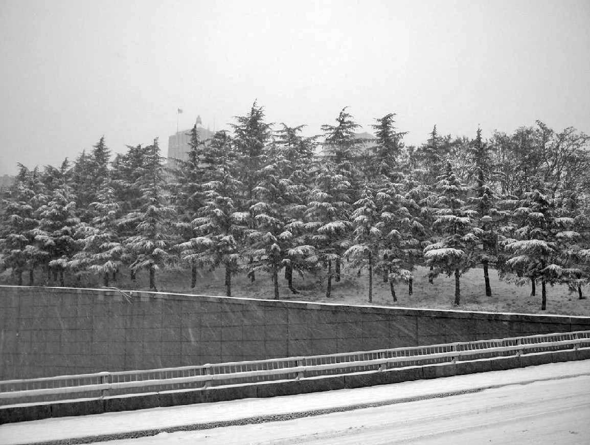 Stephen—Snow-Falling-on-Old-Seventh-Ave-WEB | Seattle Now & Then