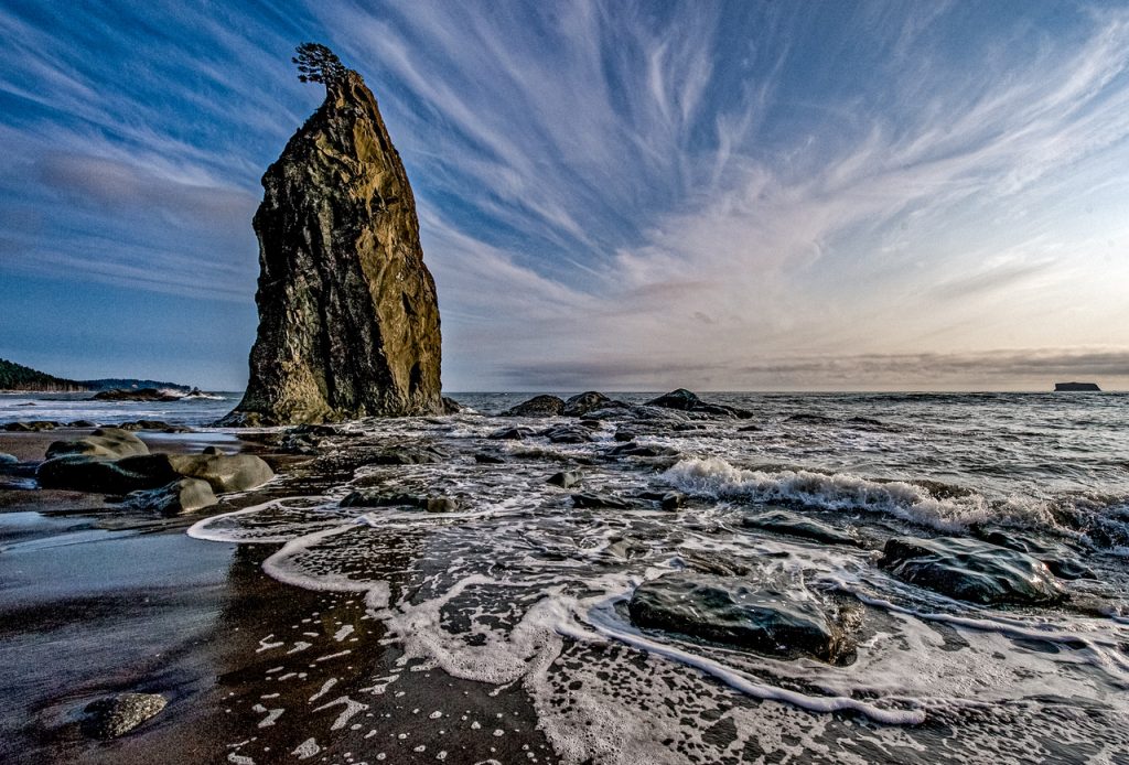 Seattle Now & Then: A Fallen Seastack at Rialto Beach, 2009 | Seattle ...